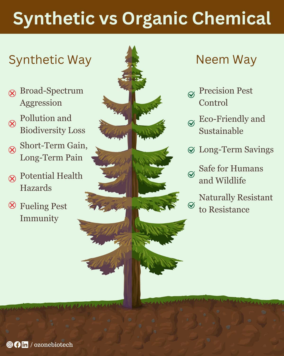 Biopesticides vs Chemical Pesticides: Which is Better?