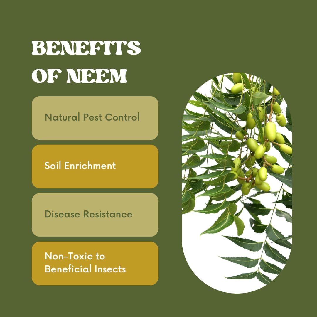 Biopesticides vs Chemical Pesticides: Which is Better?