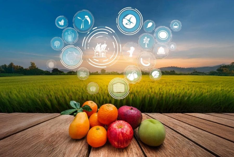 Neem based Biopesticides Manufacturer | Ozone Biotech