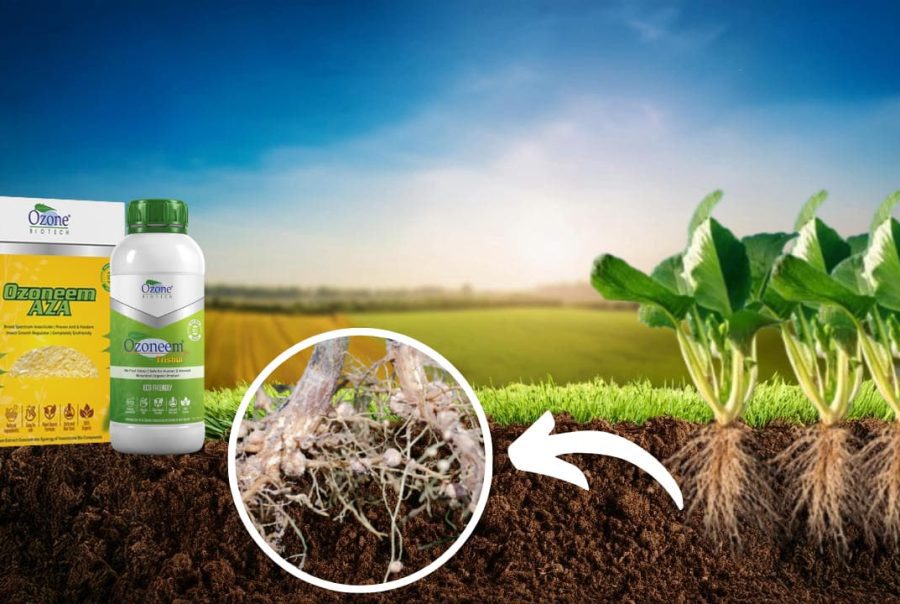 Neem based Biopesticides Manufacturer | Ozone Biotech